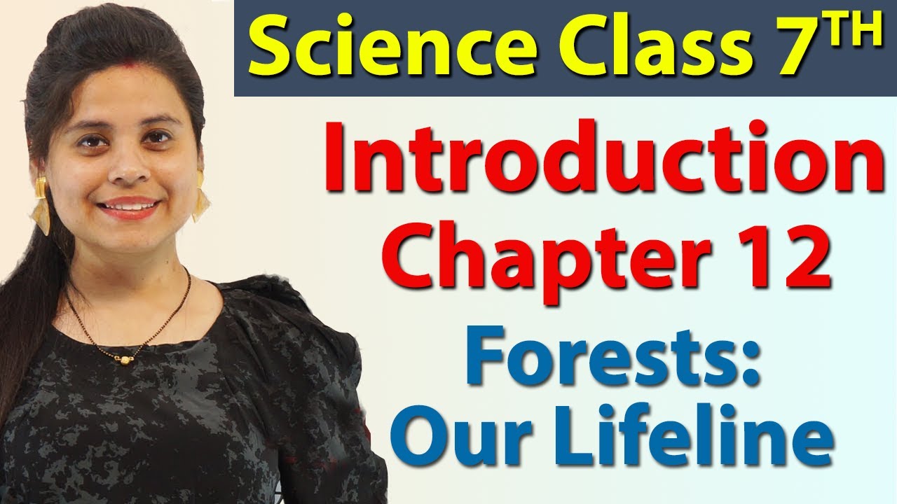 Introduction What Is A Forest Chapter 12 Forests Our Lifeline introduction-what-is-a-forest-chapter-12-forests-our-lifeline