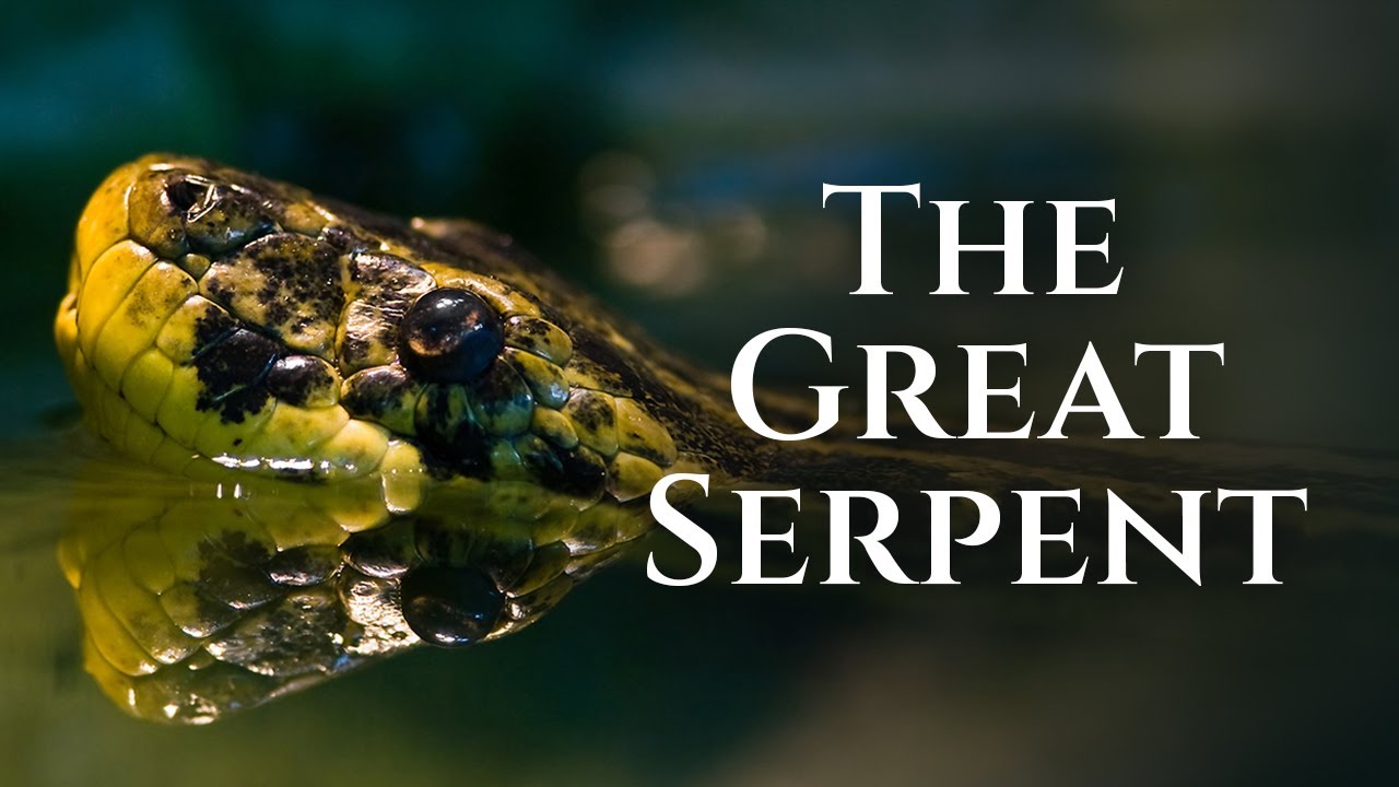 Hebrew Insights | Episode 6: The Great Serpent - YouTube