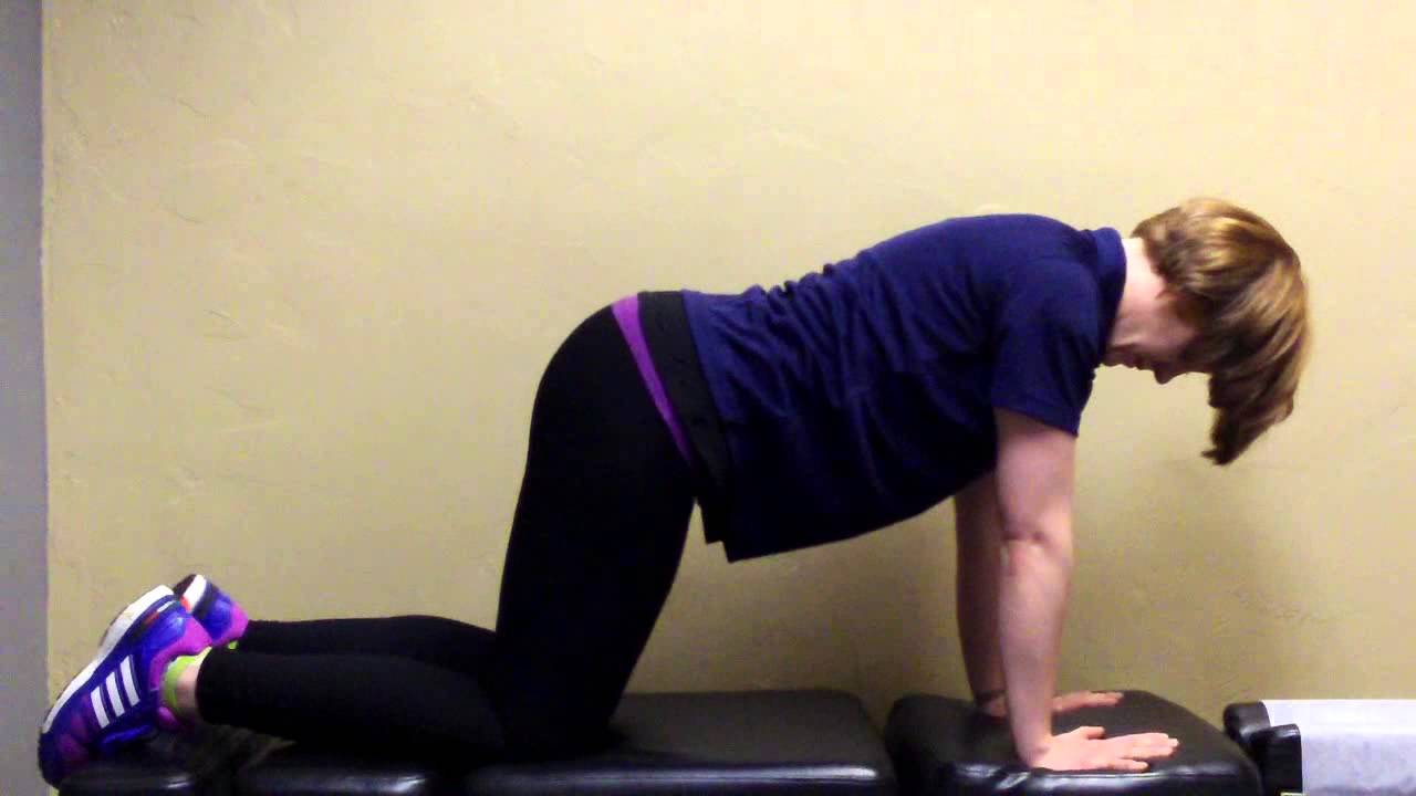 Cat Camel Exercise - Inner Vitality Chiropractic - Fort Collins - YouTube