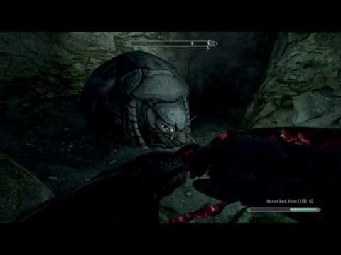 What Is This Creature?! (Shellbug) - Skyrim - YouTube