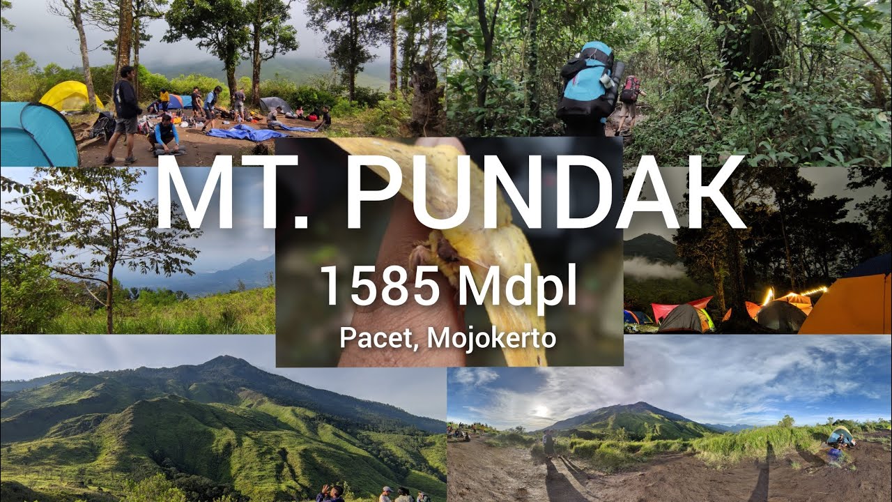 GUNUNG PUNDAK PACET -MOJOKERTO ,MT PUNDAK 1585 Mdpl - YouTube