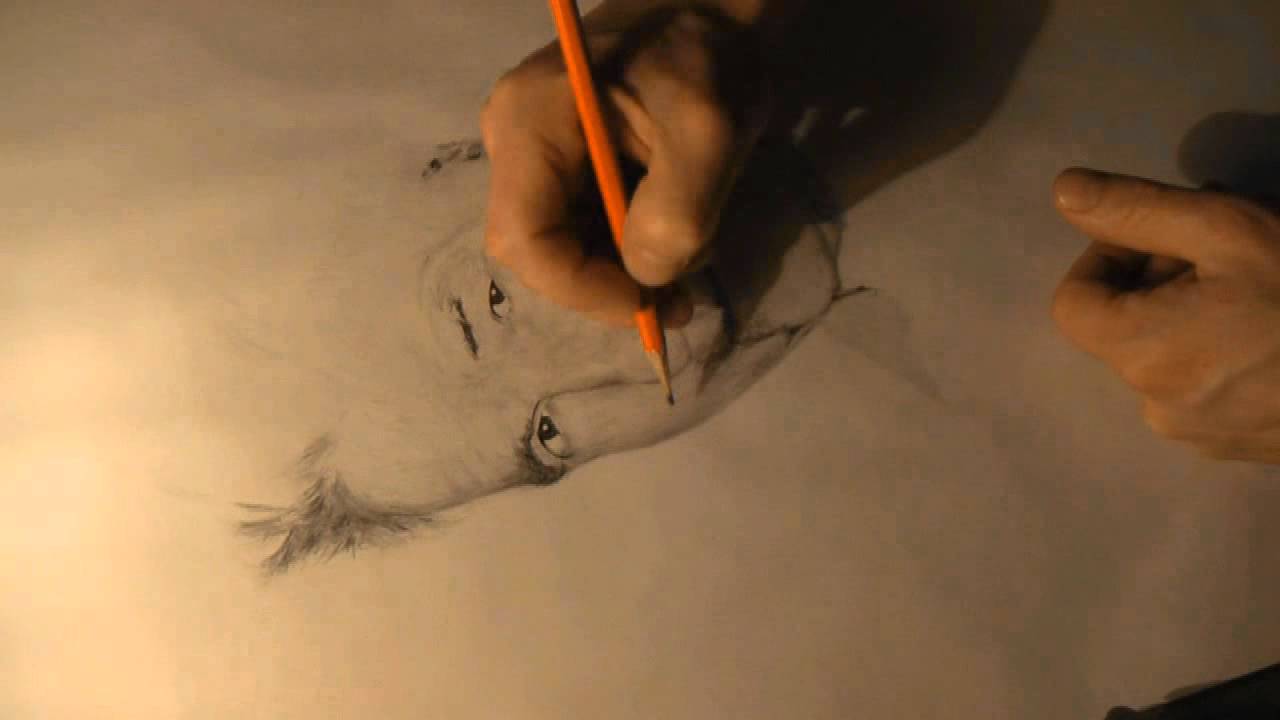 pencil drawing in high speed - YouTube