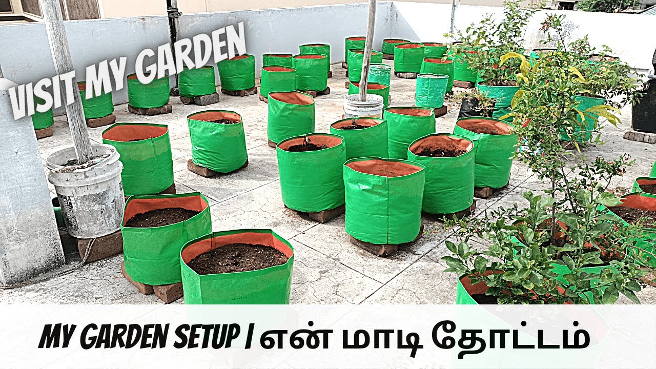 My garden setup | Gardening ideas | Radish seeding | Growbags | மாடி ...