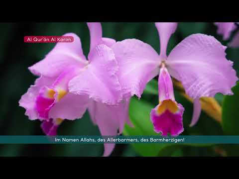 Koran Hörbuch deutsch Sure 108 Al-Kautar (Die Überfülle)