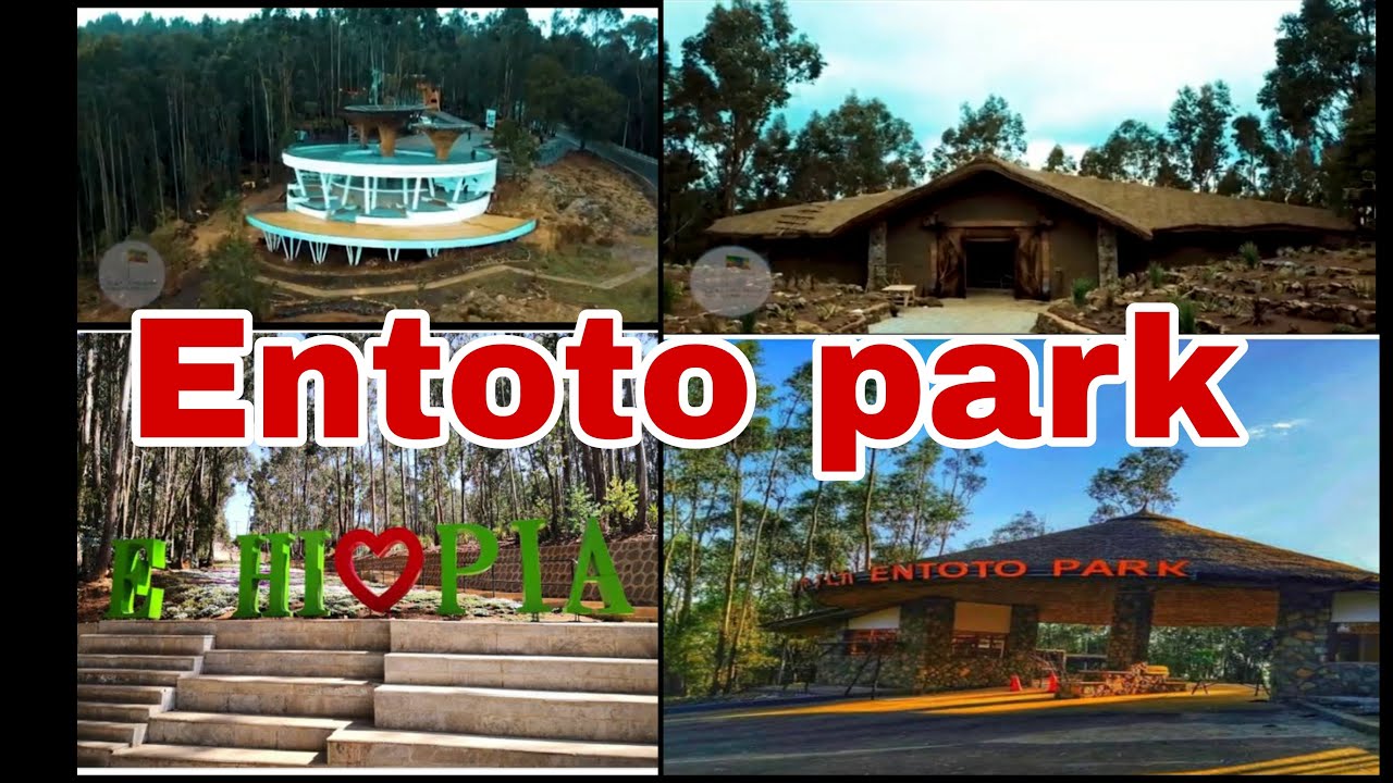 Entoto National Park Addis Ababa | Visit Entoto park in Ethiopia - YouTube