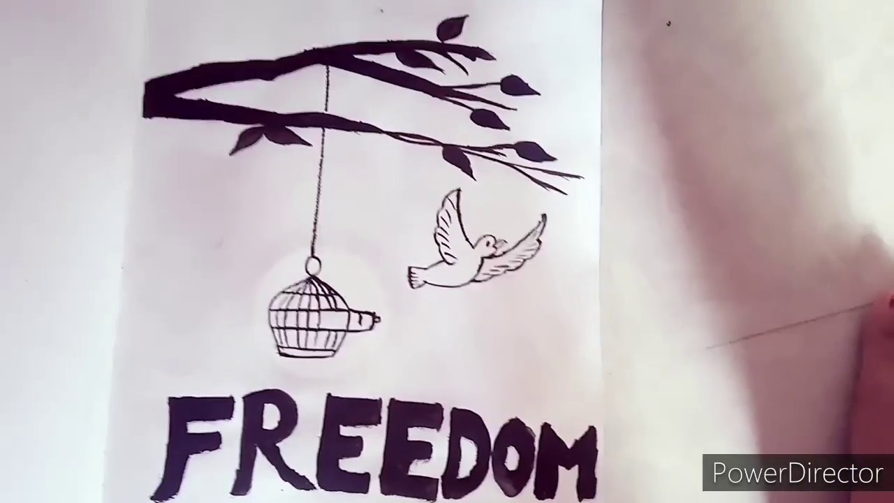 Freedom drawing with birds - YouTube