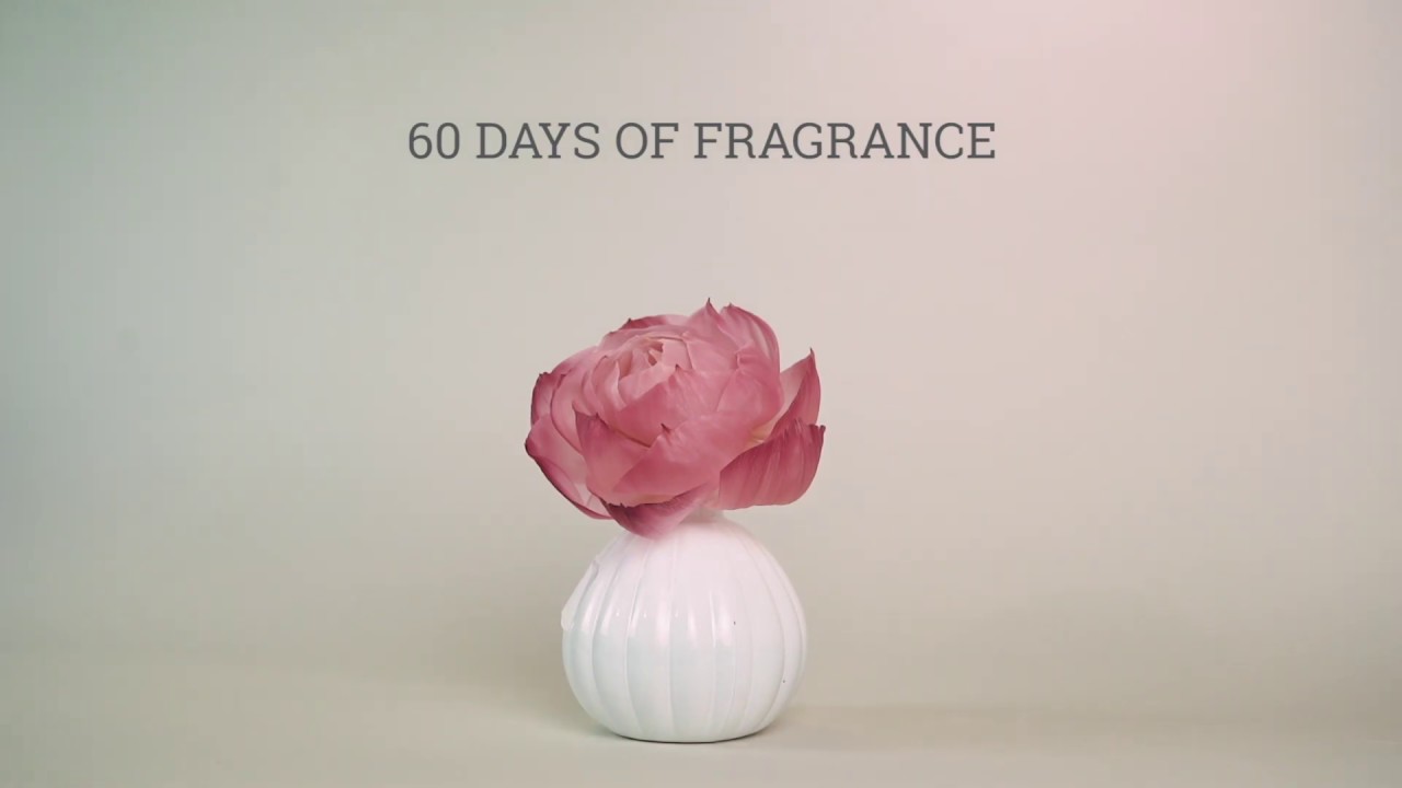 How To Use Your Sweet Grace Flower Diffuser - YouTube