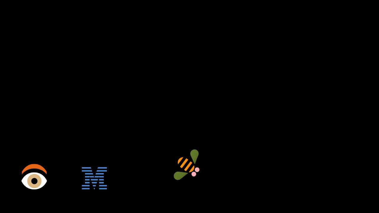 IBM bee - YouTube