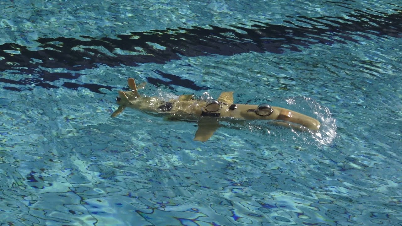 RC Deepflight Aviator Berlin-Mariendorf 22.9.2018 - YouTube