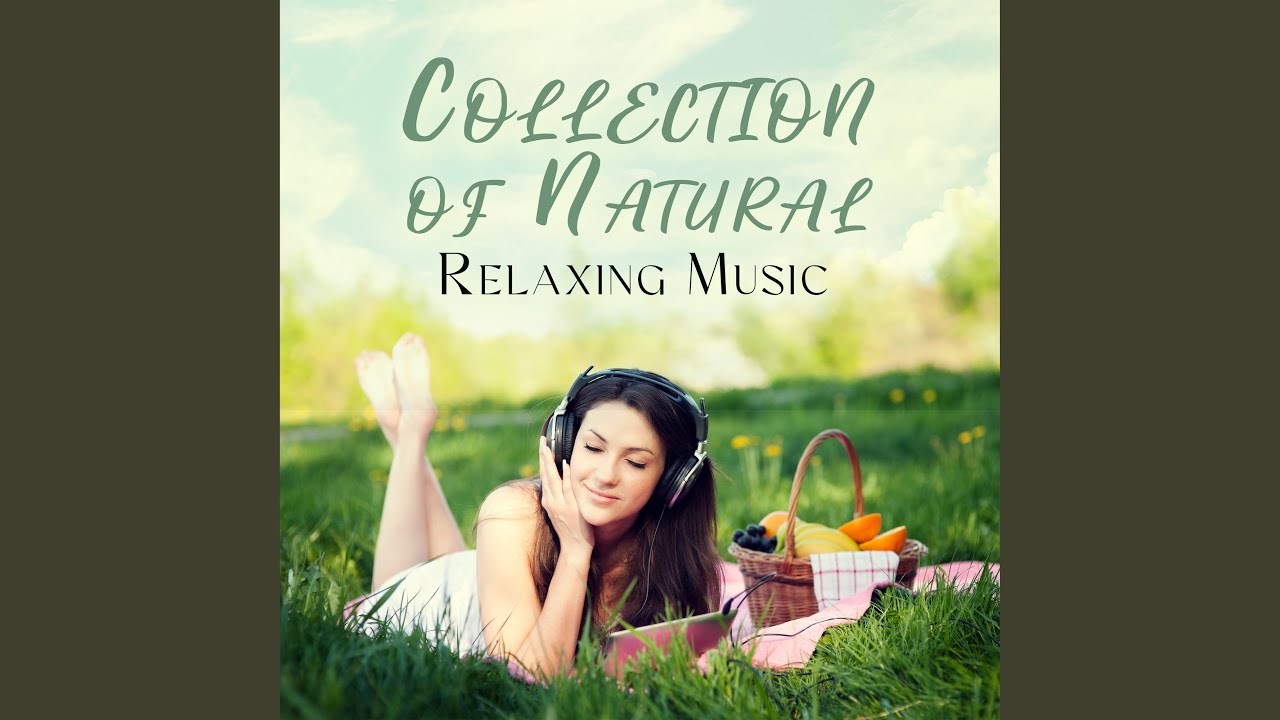 Silent Reflection - YouTube