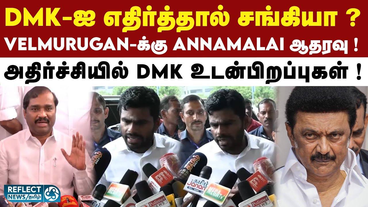 DMK கூட்டணி MLA Velmurugan-க்கு ஆதரவாக Annamalai கருத்து ! | BJP | Annamalai | DMK | MK Stalin ...