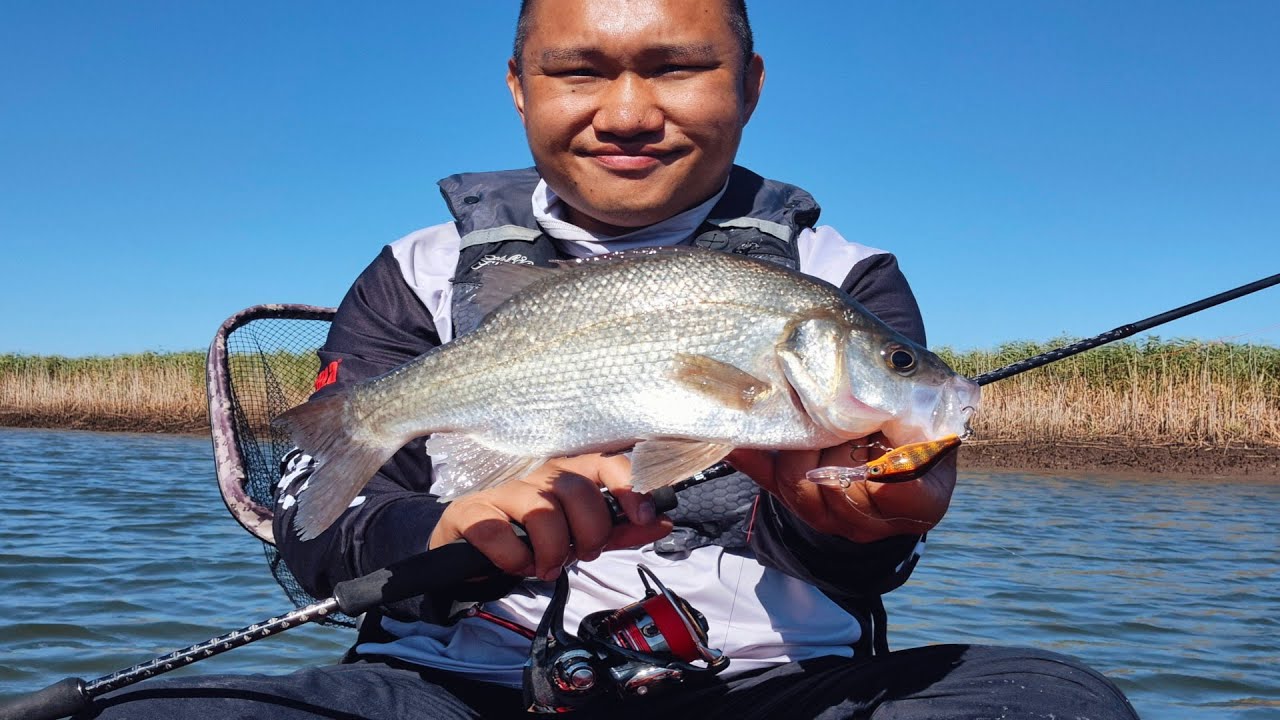These Lures Catch Estuary Perch: Tarwin River Fishing EP.93 - YouTube