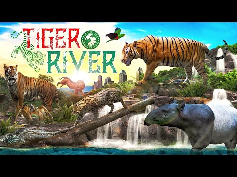 Zoo Tours: Tiger River at the San Diego Zoo