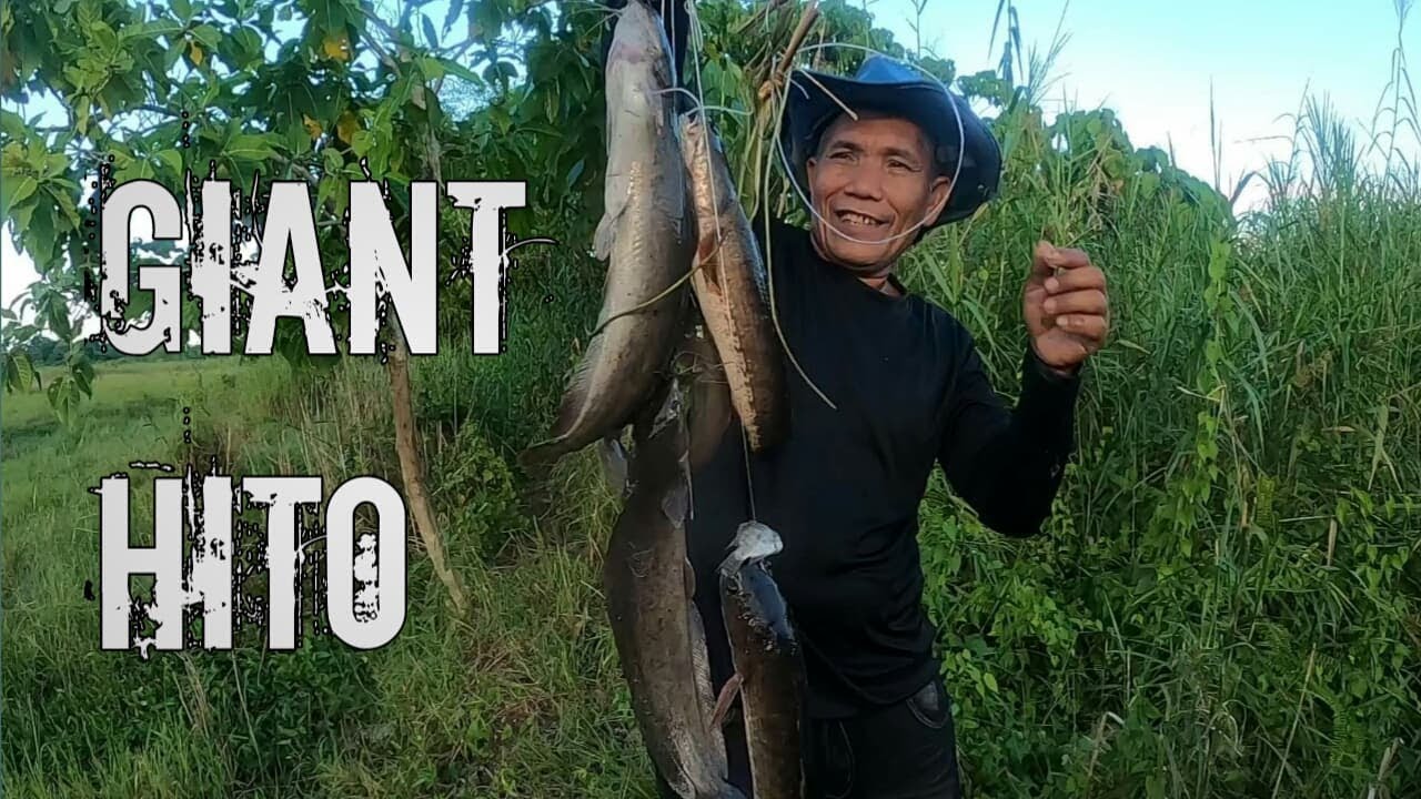 EP#20 GIANT HITO ORIENTALMINDORO#MINDOROHUNTERS - YouTube