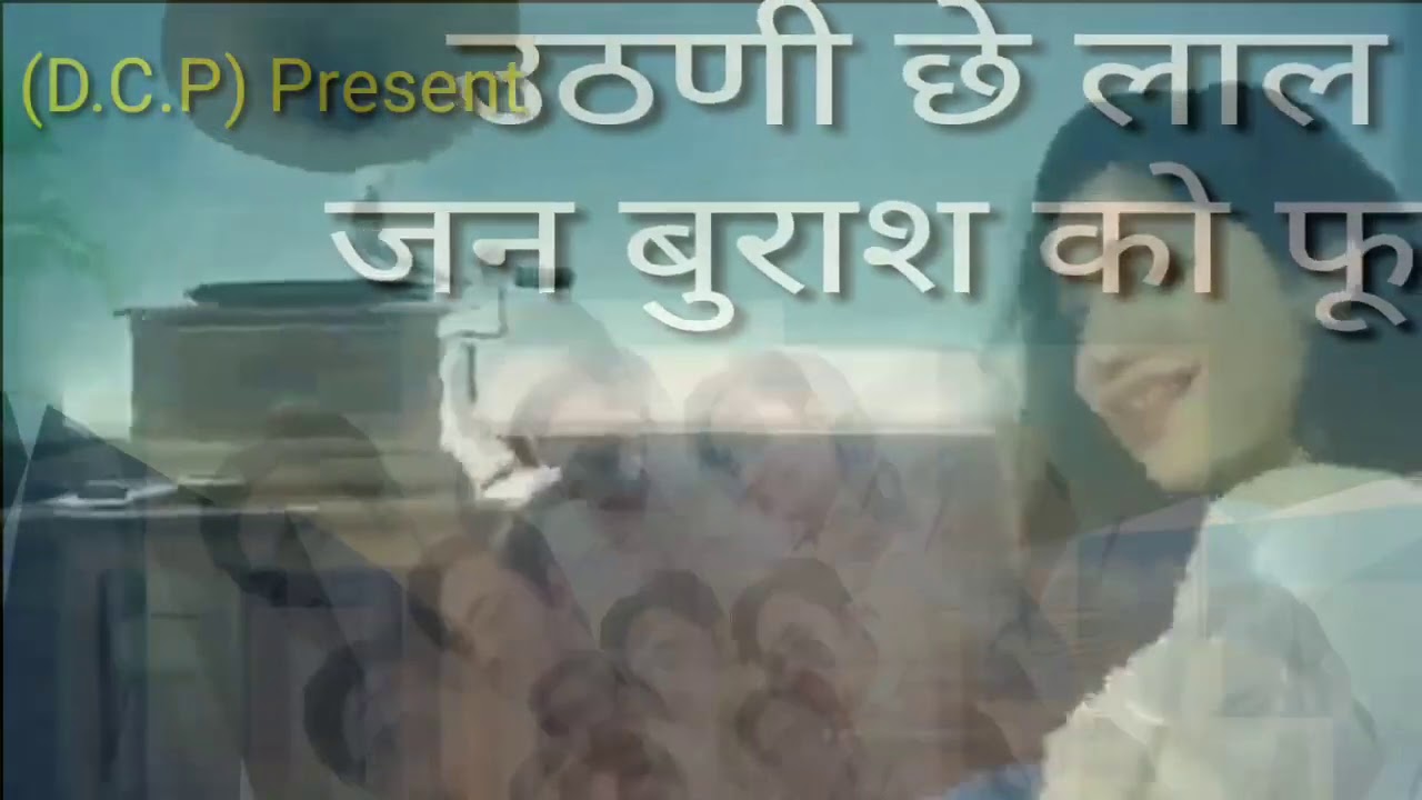 Pahadi stetus burash ka phool - YouTube