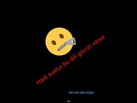 Hadi Sustur Bu Dili Gücün Varsa