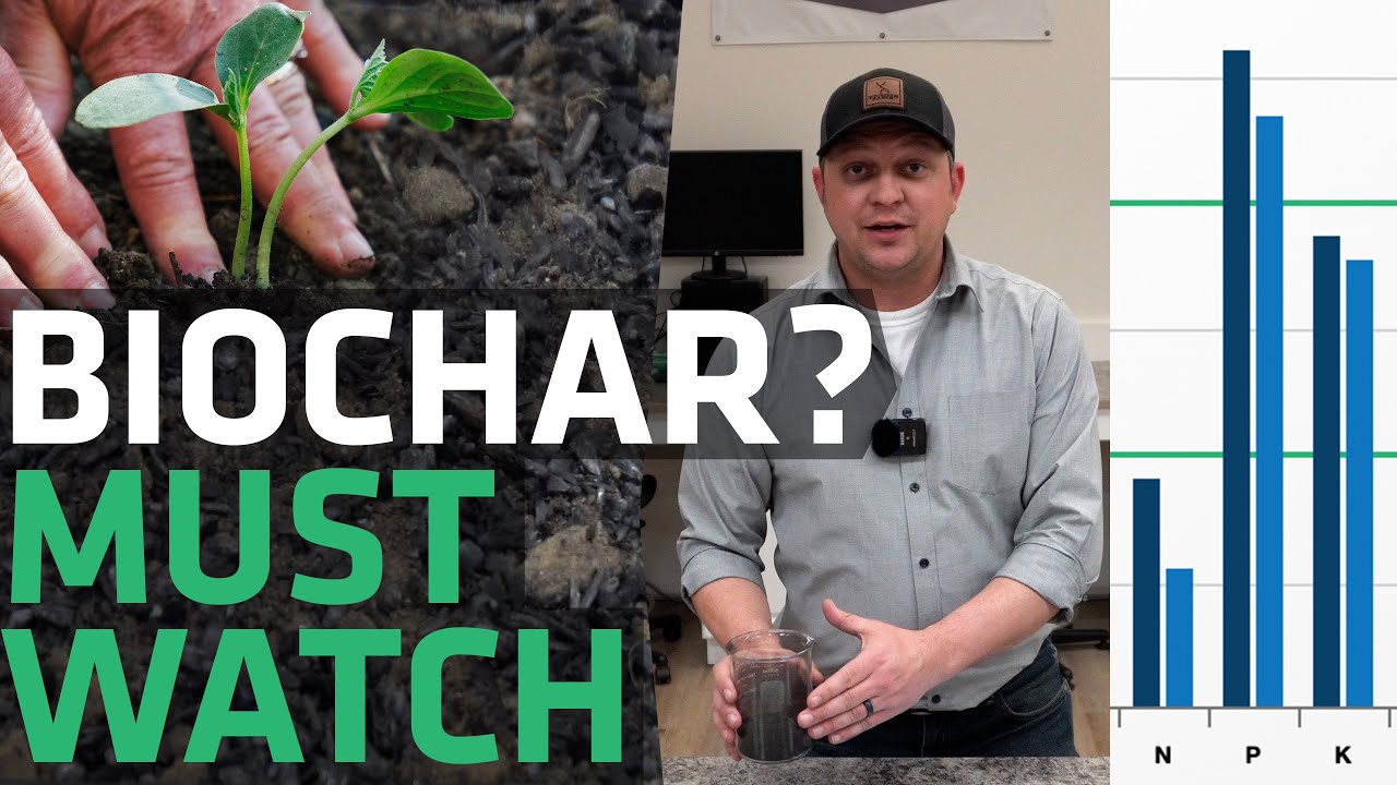 Does Biochar Work? Will Biochar Work For You? - Find Out Now! - YouTube