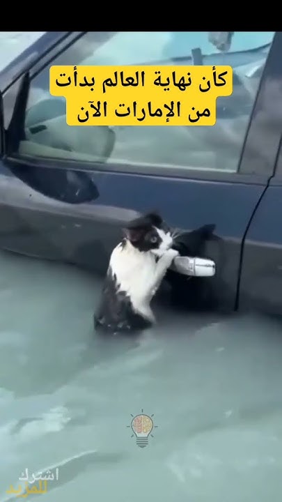 مدهش للغايةshorts Youtube