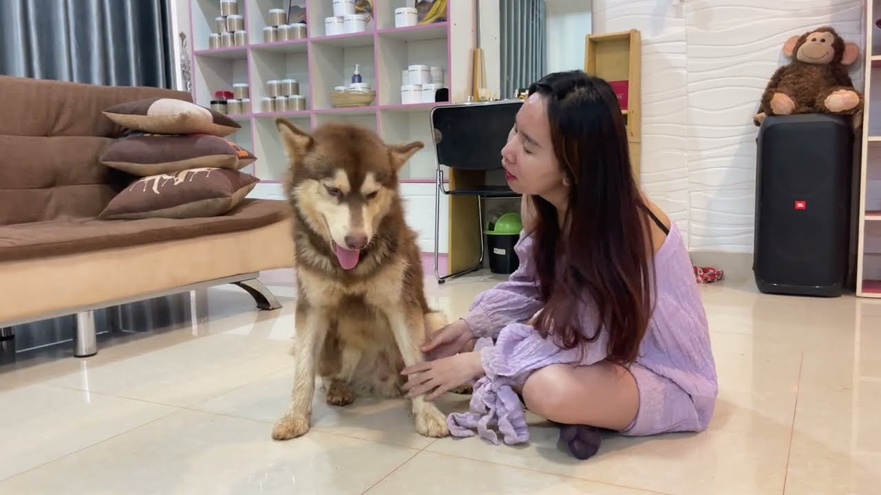 Aww!!Kwan don't know why TOTO get angry again but kwan trying to comfort TOTO,finally what's ...