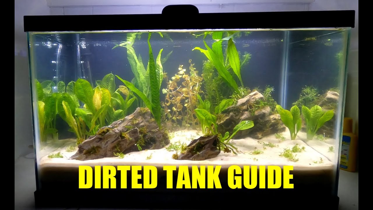 Setting Up a DIRTED AQUARIUM TANK - Using FATHER FISH Ingredients ...