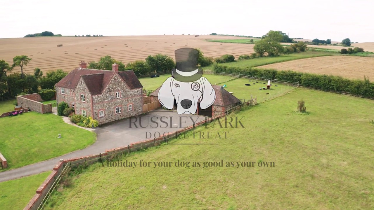 Russley Park Dog Retreat Promo Video - YouTube