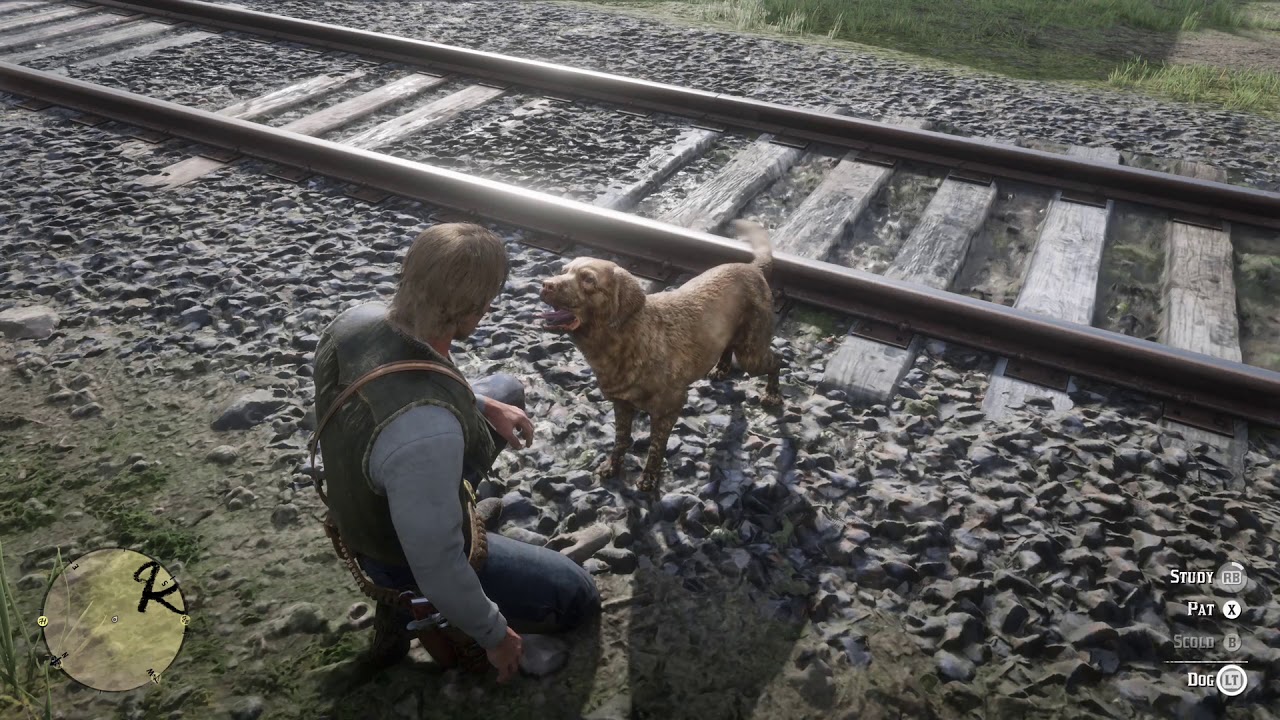 My pet in Red Dead Redemption II....... - YouTube