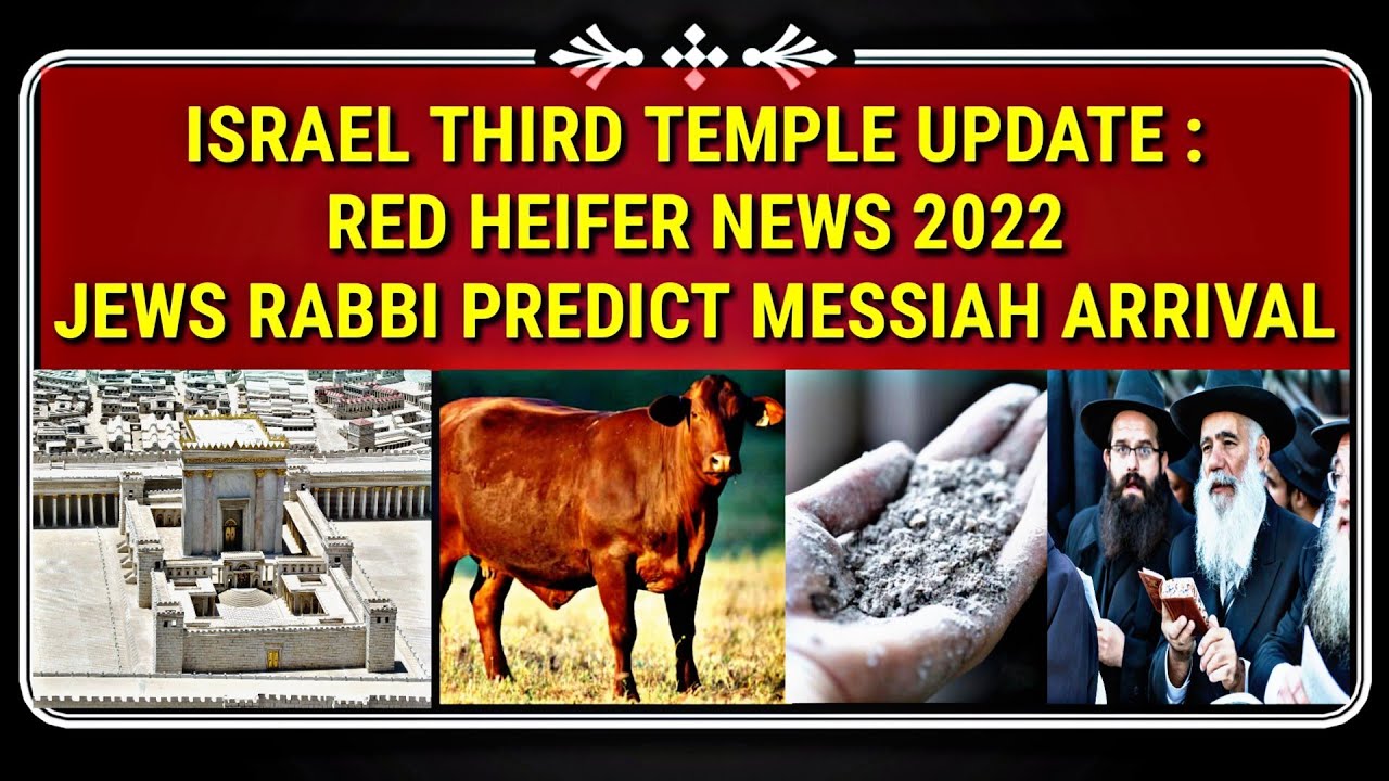 ISRAEL THIRD TEMPLE UPDATE| RED HEIFER NEWS 2022| RED HEIFER SACRIFICE ...