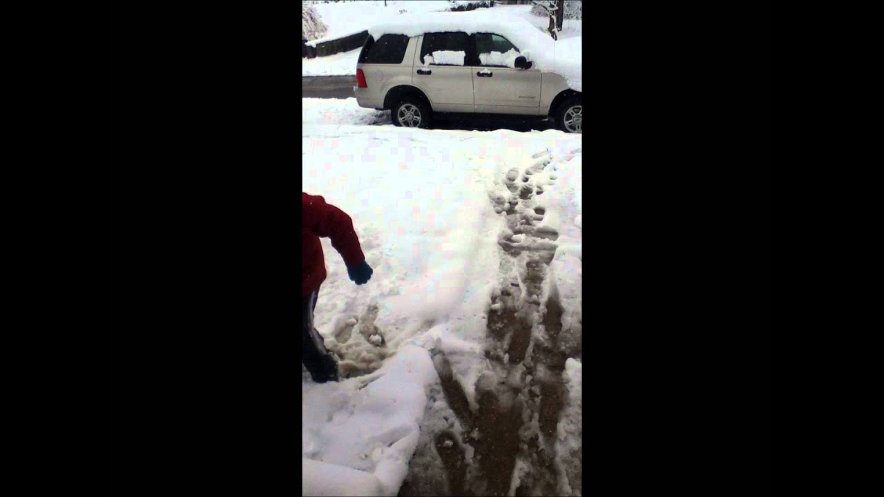 deep digger dan treasure - YouTube