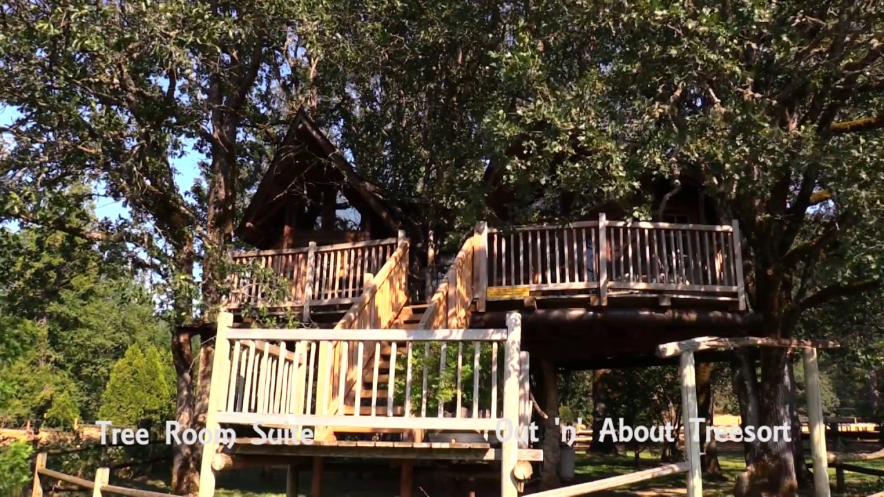 Tree Room Suite - YouTube