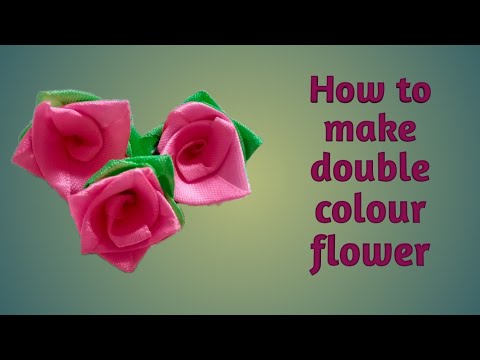 How to make Double colour Flower - YouTube