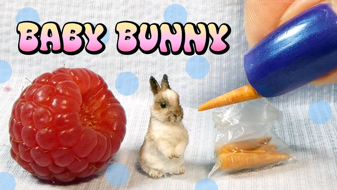Miniature Baby Bunny Tutorial // DIY Dwarf Rabbit - YouTube