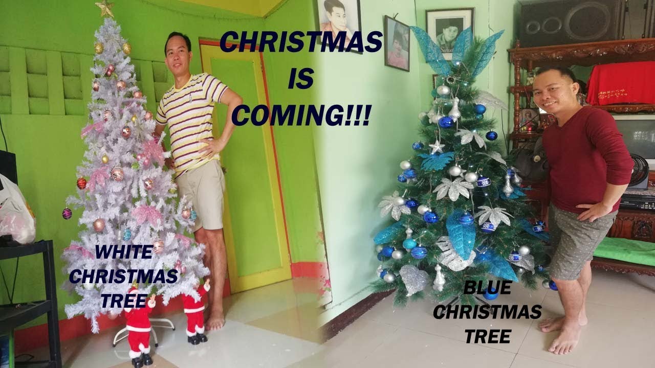 How to Decorate our Christmas Tree? | Let See!!! - YouTube