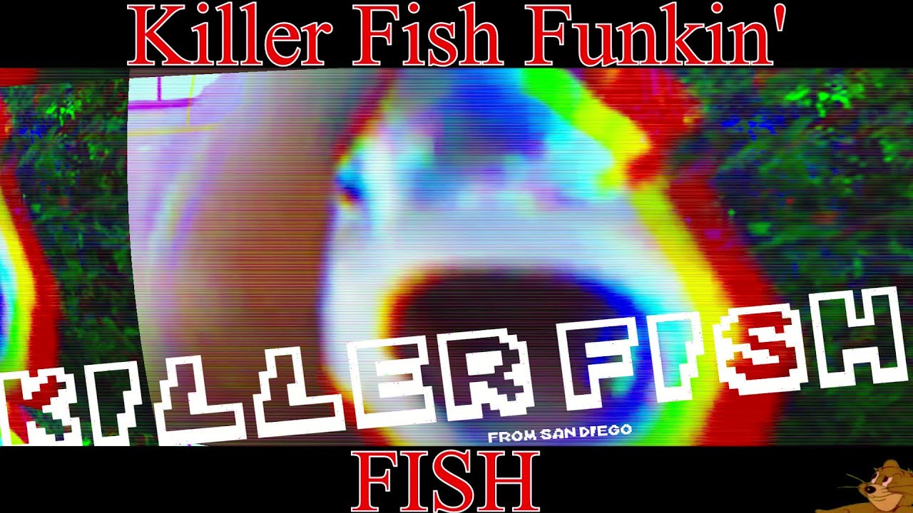 FNF MOD: [Killer Fish Funkin'/Meme] Killer Fish vs Darnell | Fish - YouTube