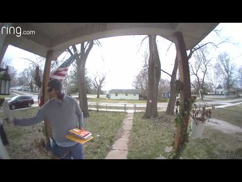 hilarious bird scares mailman - YouTube