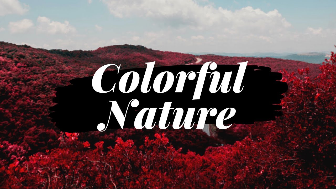 Colorful Nature [HD] || Travel Videos || Nature Video - YouTube