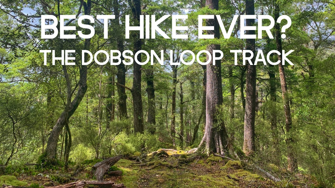 Hiking 17.5km on the Dobson Loop | Best Day Walk in Wellington? - YouTube