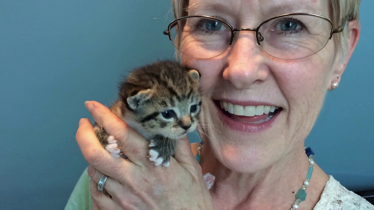 2020 Diamond Collar Hero: Joyce Briggs - YouTube