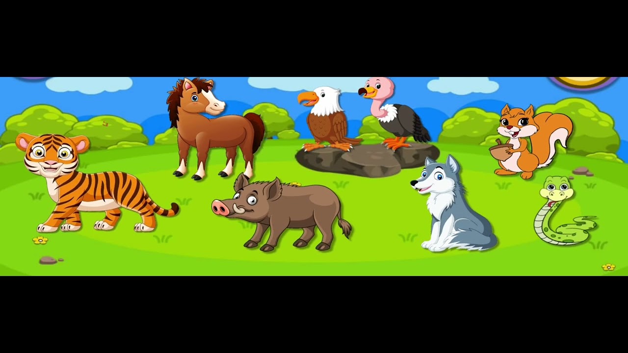 Animals sounds and birds sounds vehicles sounds - YouTube