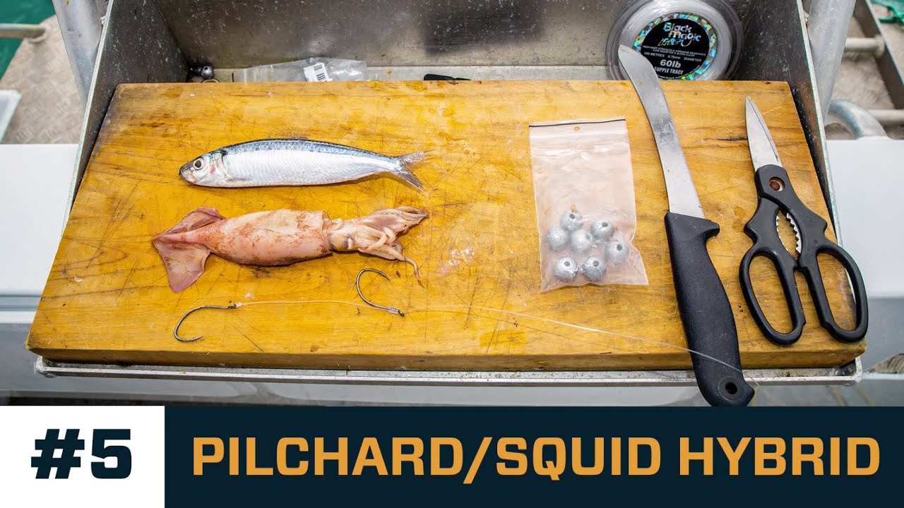 NZFW Best Bait Series -Pilchard Squid Hybrid - YouTube