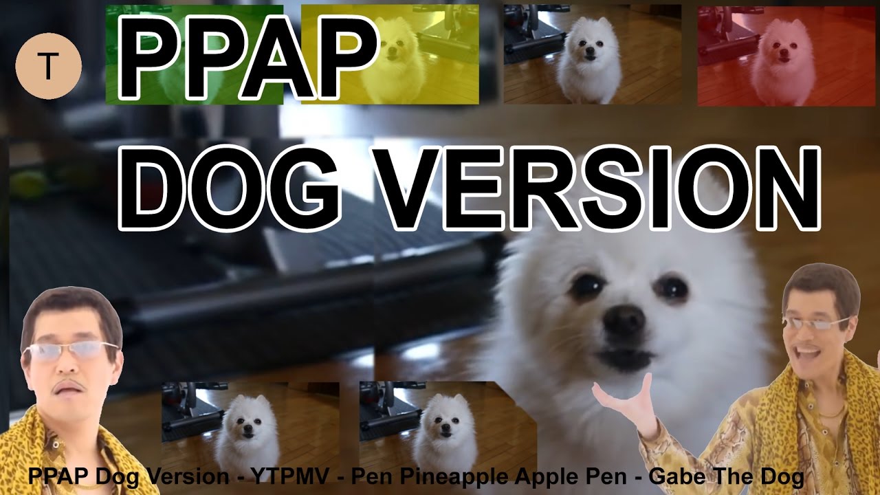 PPAP Dog Version - YTPMV - Pen Pineapple Apple Pen - Gabe The Dog - YouTube