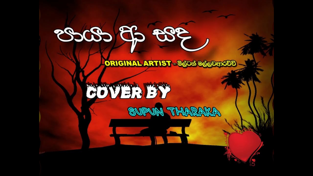 පායා ආ සද | paya aa sada | COVER SONG | 😍 ️ - YouTube