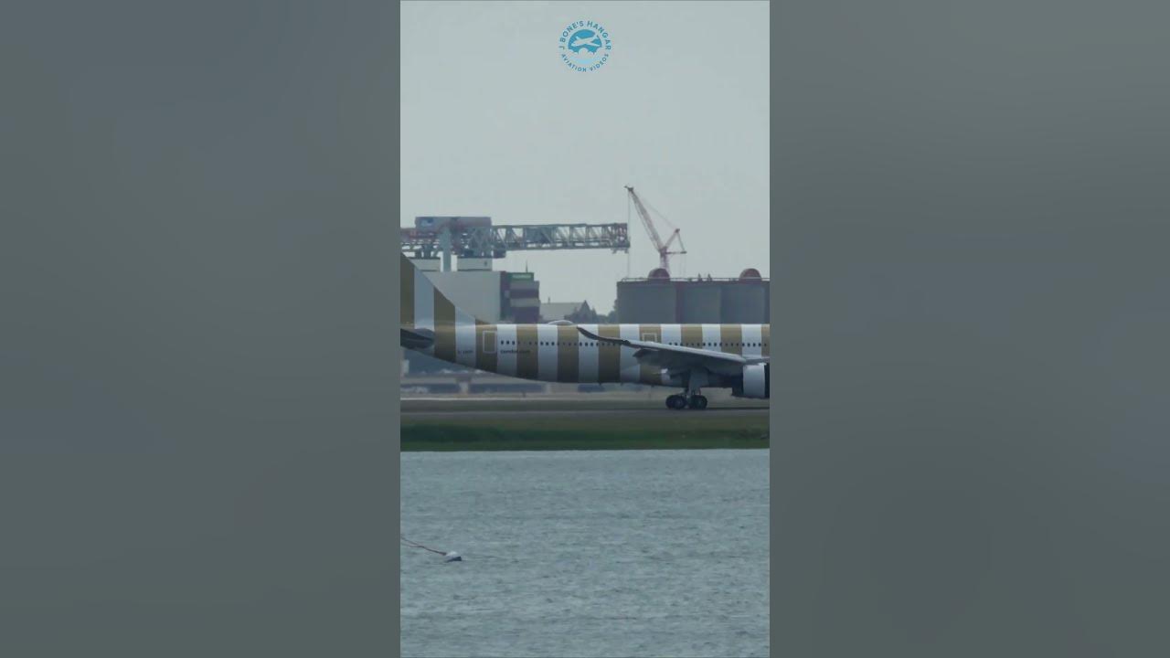 Condor A330 Gold and White Striped Landing at BOS Runway 33L - YouTube
