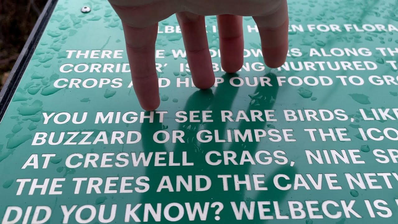ASMR | Outdoor Tracing & Tapping Up To The Camera - YouTube
