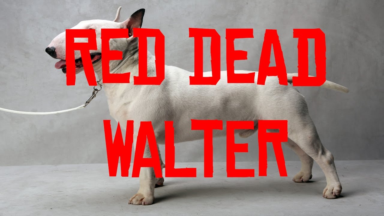 Walter Clements Goes to the Saloon and Dies - YouTube