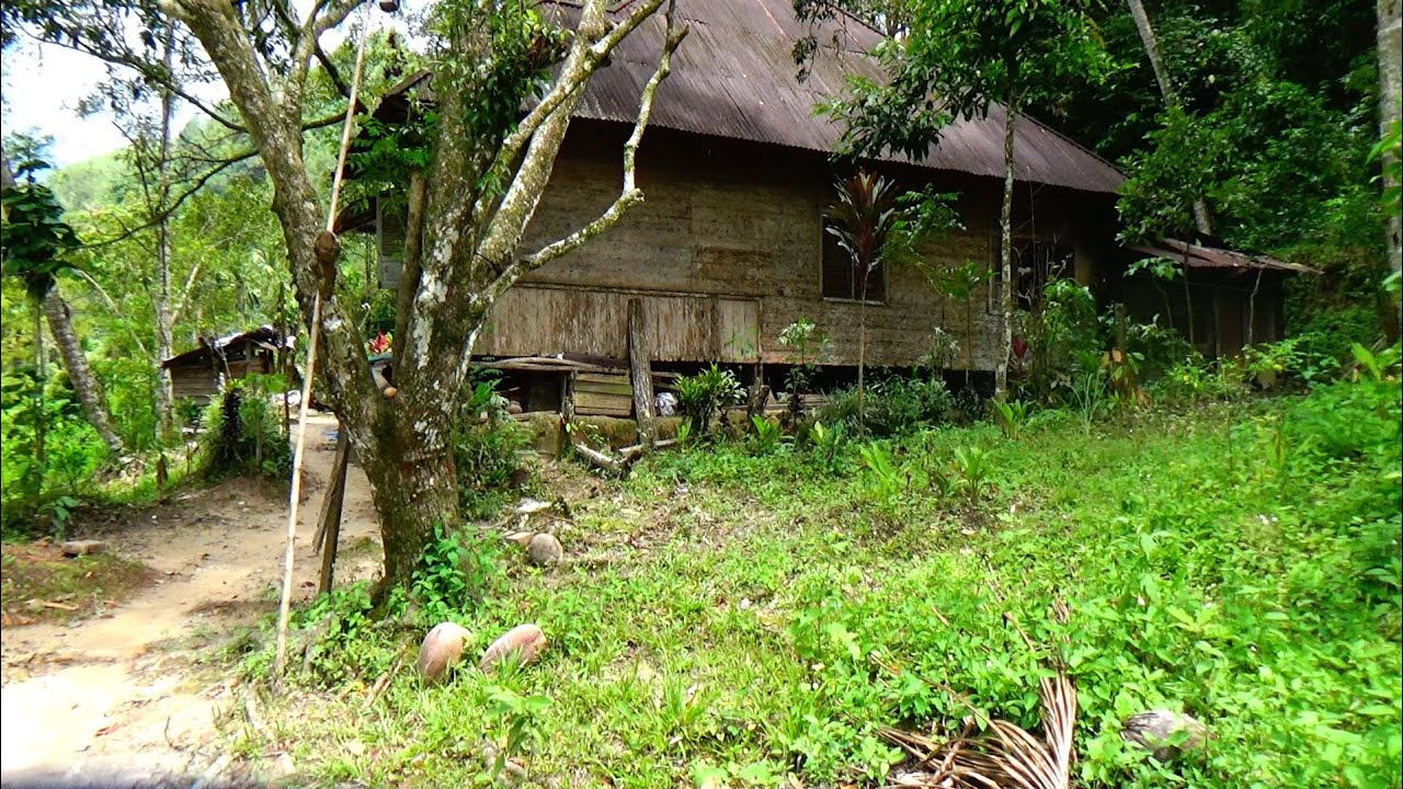 beautiful scenery in indonesian village||indonesia rural life - YouTube