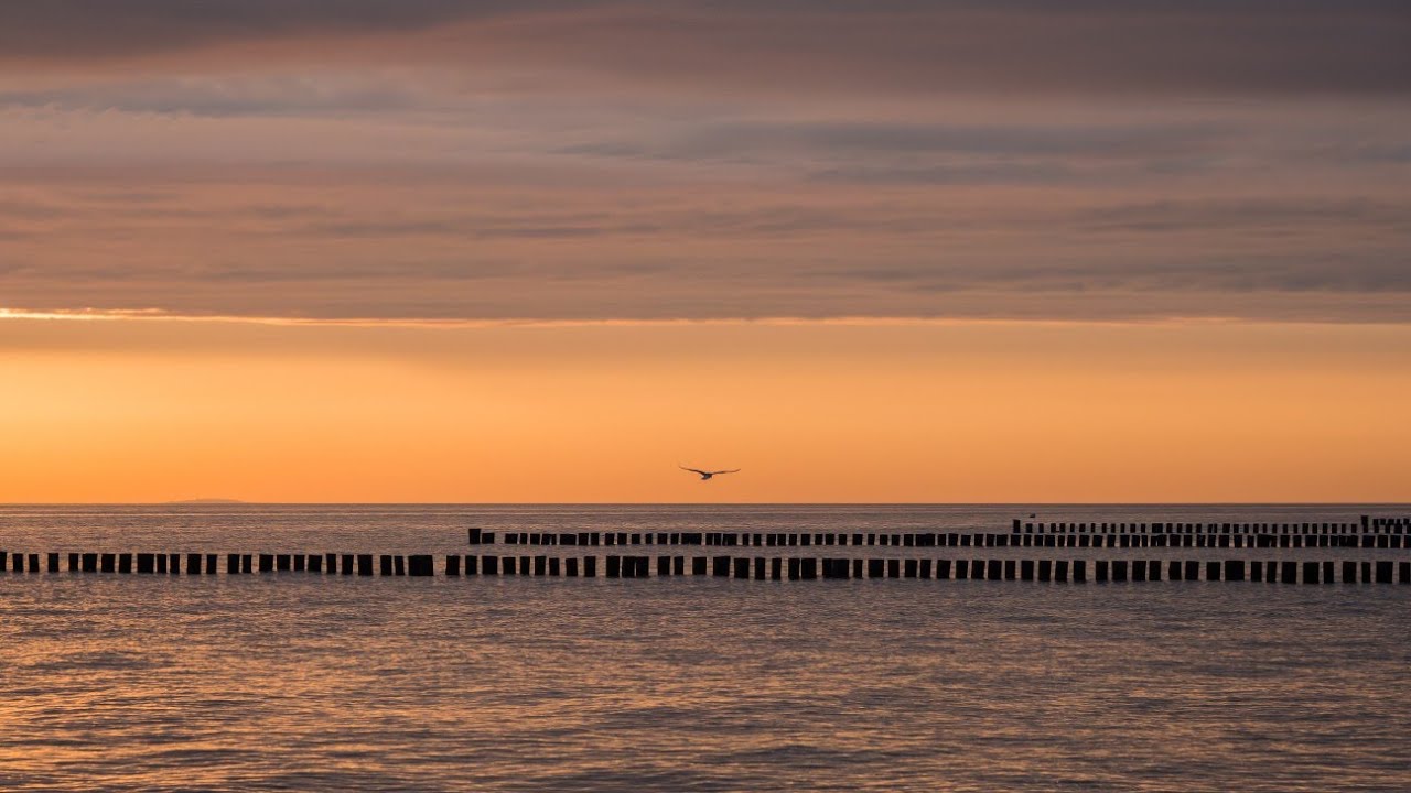 DSADS - Dawn (Official Audio) - YouTube