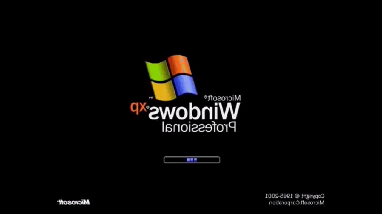 I Accidentally Windows XP Professional Startup - YouTube