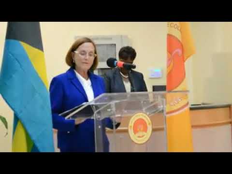 Keva Bethel Exhibition Opening - YouTube