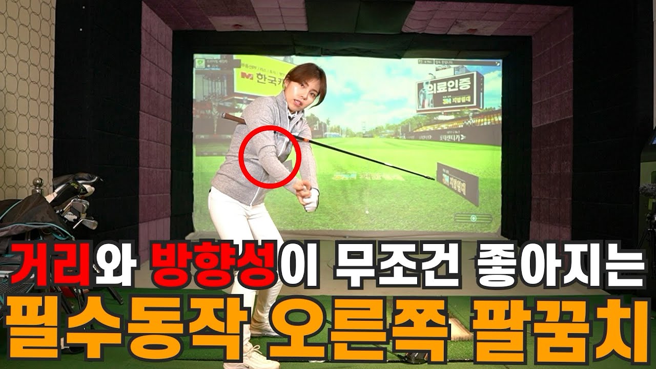 골프레슨 드라이버 잘치는법 백스윙 다운스윙 오른쪽 팔꿈치 움직임 제자리 연습드라이버 비거리 늘리기 정타 맞추기ㅣ홀인원tv