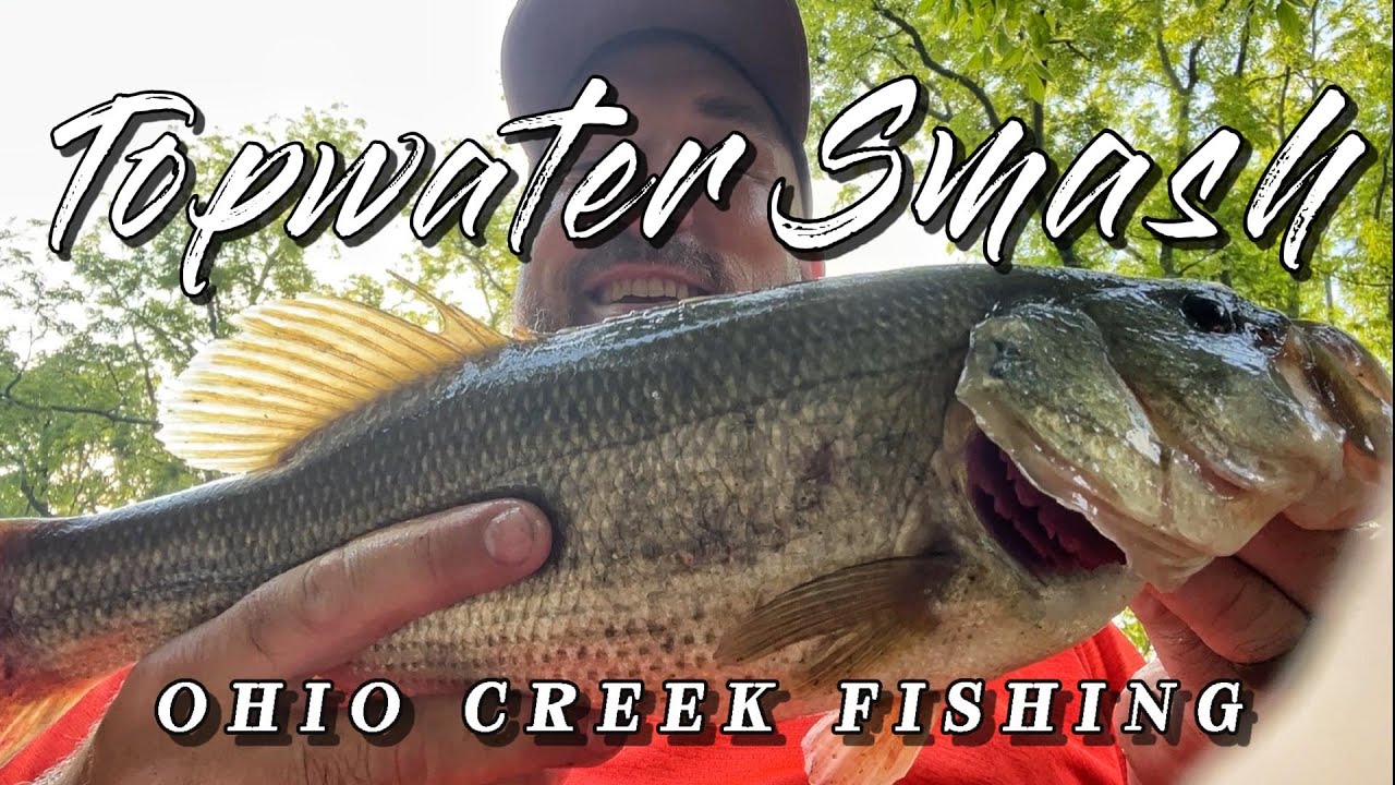 Ohio Creek Fishing - Topwater on a unique buzz bait - YouTube